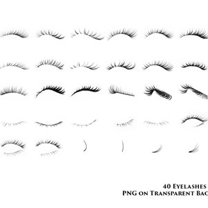40 Eyelashes Overlays, PNG Transparent Background, Eye Retouch ...