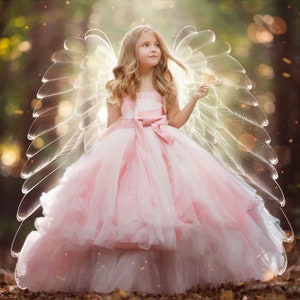 Angel Wings, 47 Overlays, Light Spot, Christmas, Light Photo Overlays ...