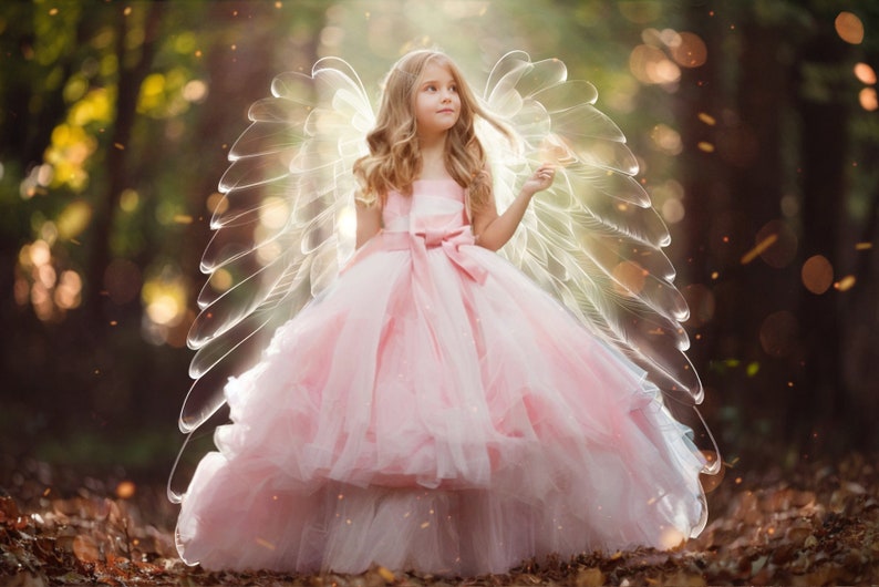 Angel Wings 47 Overlays Light Spot Christmas Light Photo - Etsy