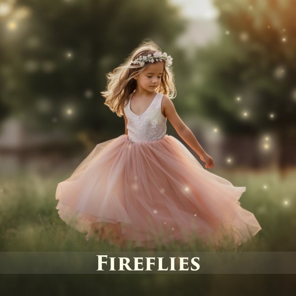 Pixie Fairy Glitter Light Overlay - Etsy