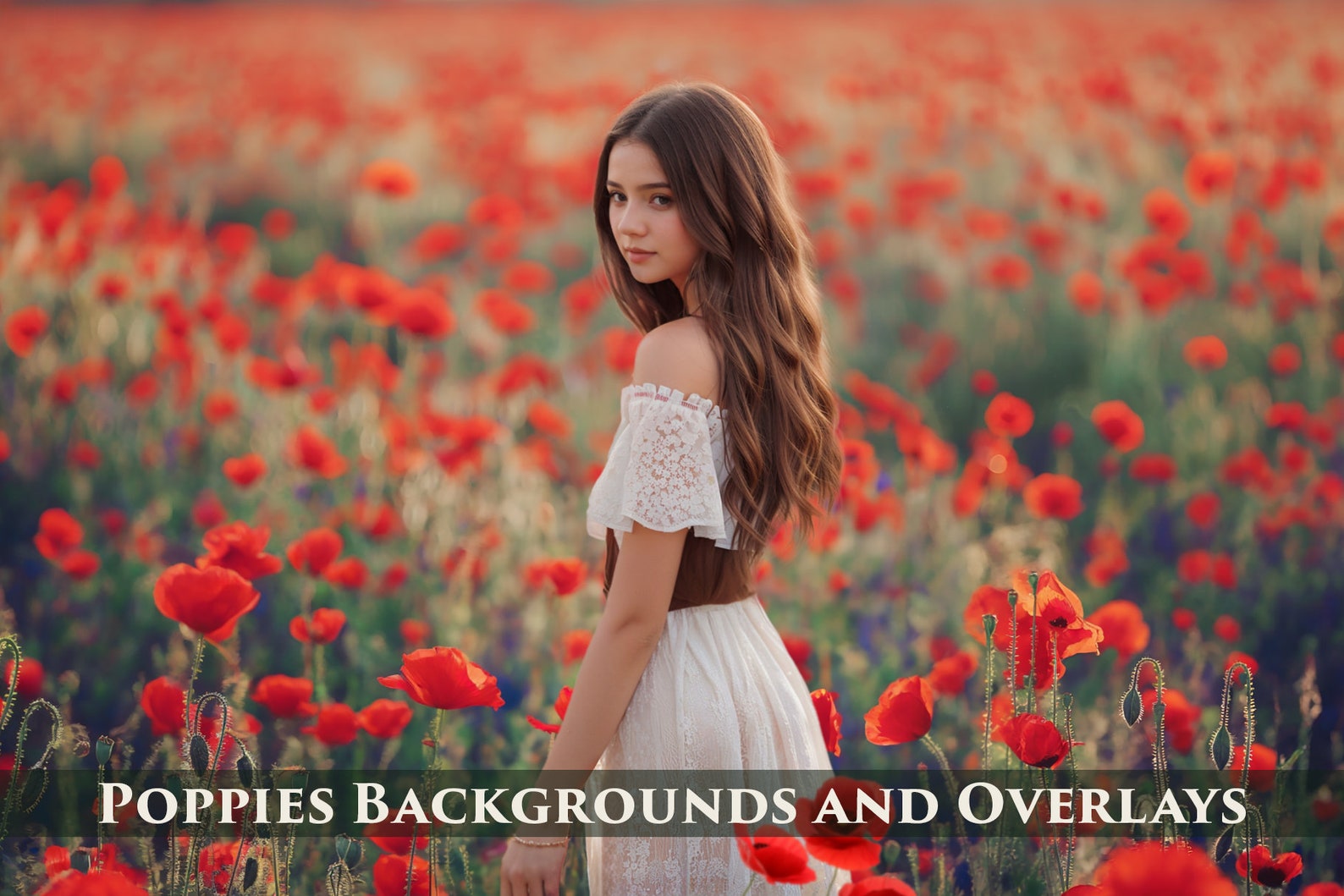 Poppy Field Backgrounds and Overlays, 50 PNG Photoshop Overlay ...