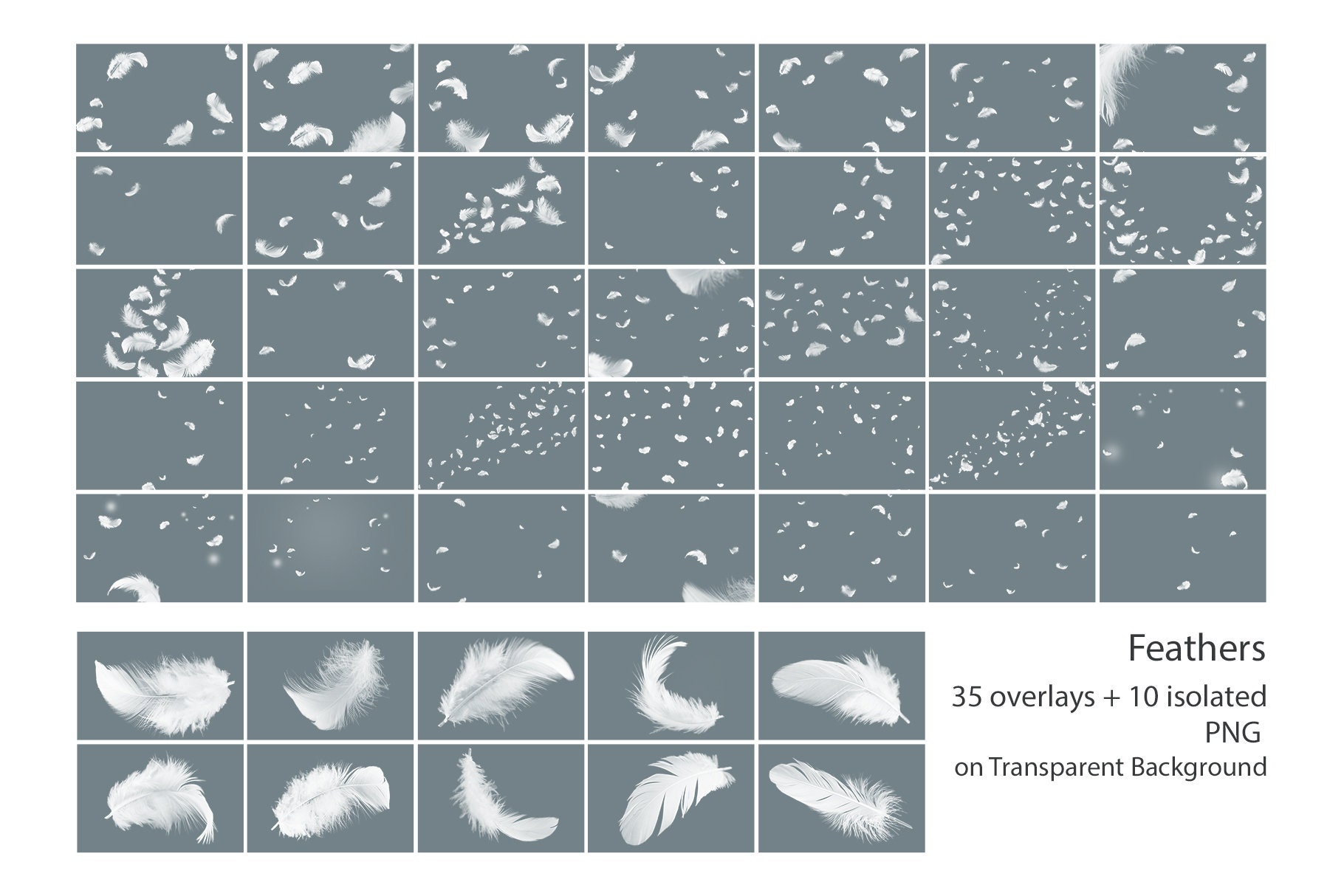 Feather Overlays, Photoshop Overlays, Angel Feather, Dreamy Feathers ...