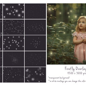 Firefly Overlays, PNG, Photoshop Overlay, Fantasy, Magical Fairy ...