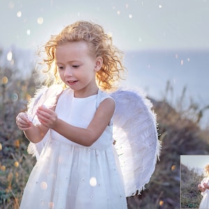 135 Glitter Overlays, Blowing Glitter, Floating Dust, Gold Blue Dust ...