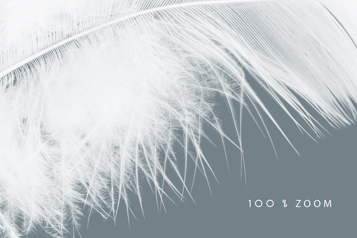 Feather Overlays Photoshop Overlays Angel Feather Dreamy - Etsy