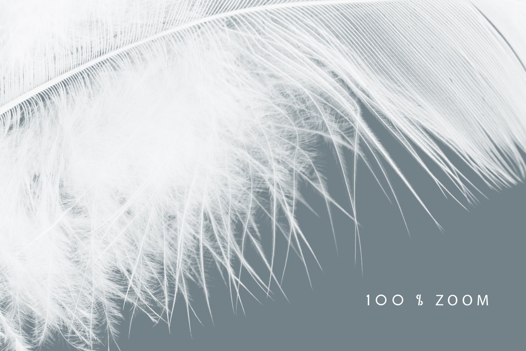 Feather Overlays, Photoshop Overlays, Angel Feather, Dreamy Feathers ...