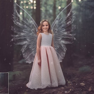 Angel Wings, 47 Overlays, Light Spot, Christmas, Light Photo Overlays ...