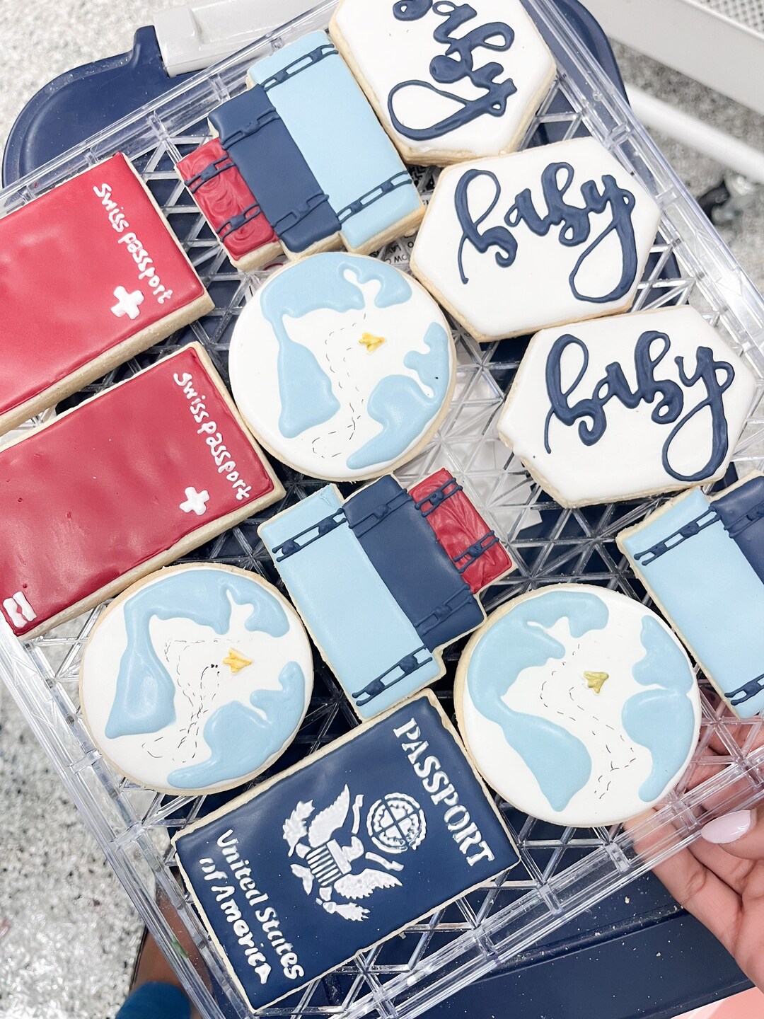 Travel Theme, Passport Cookies / Baby Shower Cookies/ Travel Baby ...