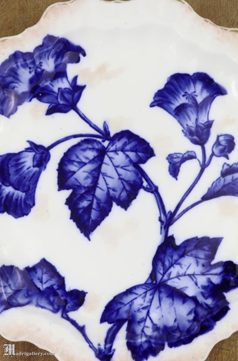 Antique Flow Blue Plate, Porcelain Cabinet Plate, Gold Gilt Gilded ...