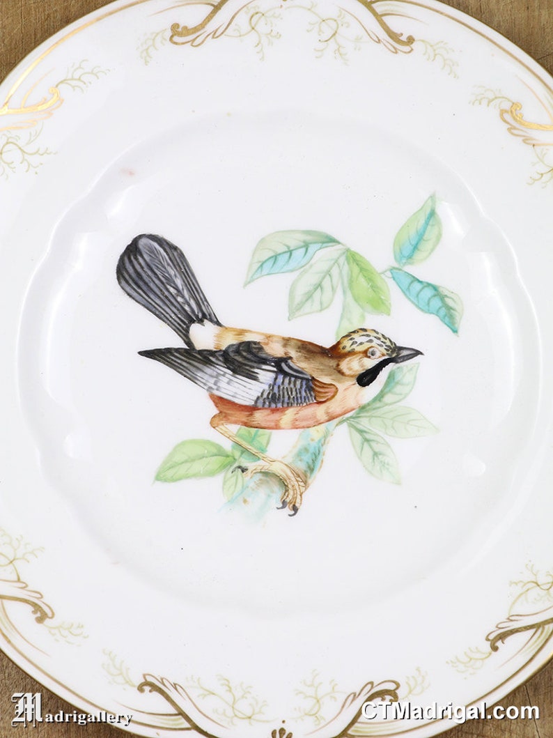 Antique Porcelain Bird Plate, Hand Painted Birds Flowers, Gilt Gilded ...