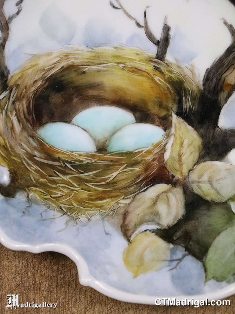 Antique Hand Painted Bird Plate, Porcelain Enamel Cabinet Plate, Tree ...