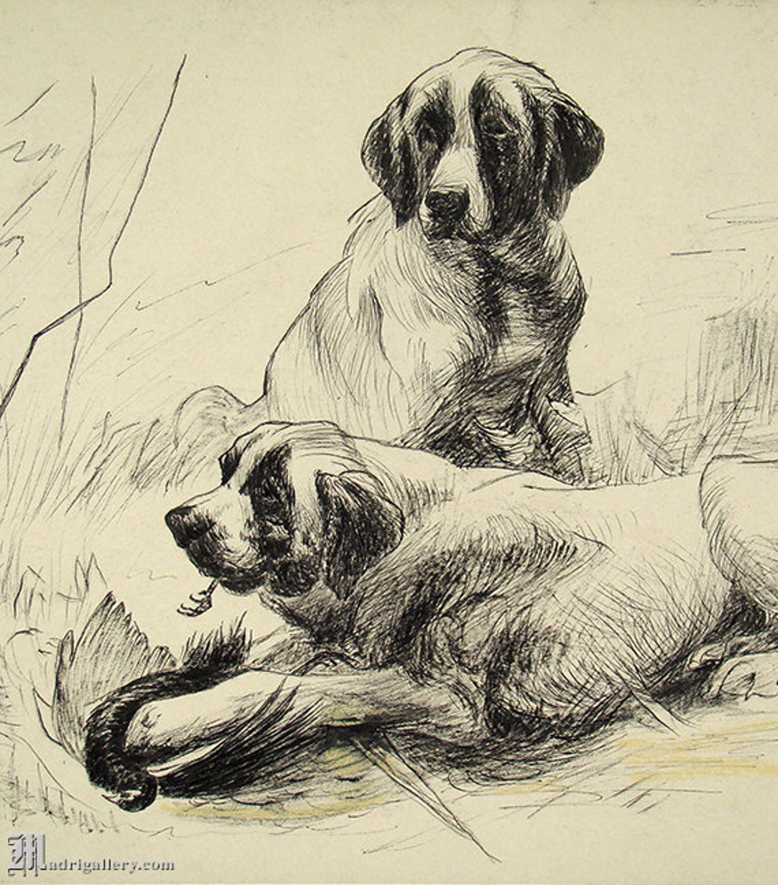 Antique Ink Drawing of Hunting Dogs and Dead Game Bird in - Etsy