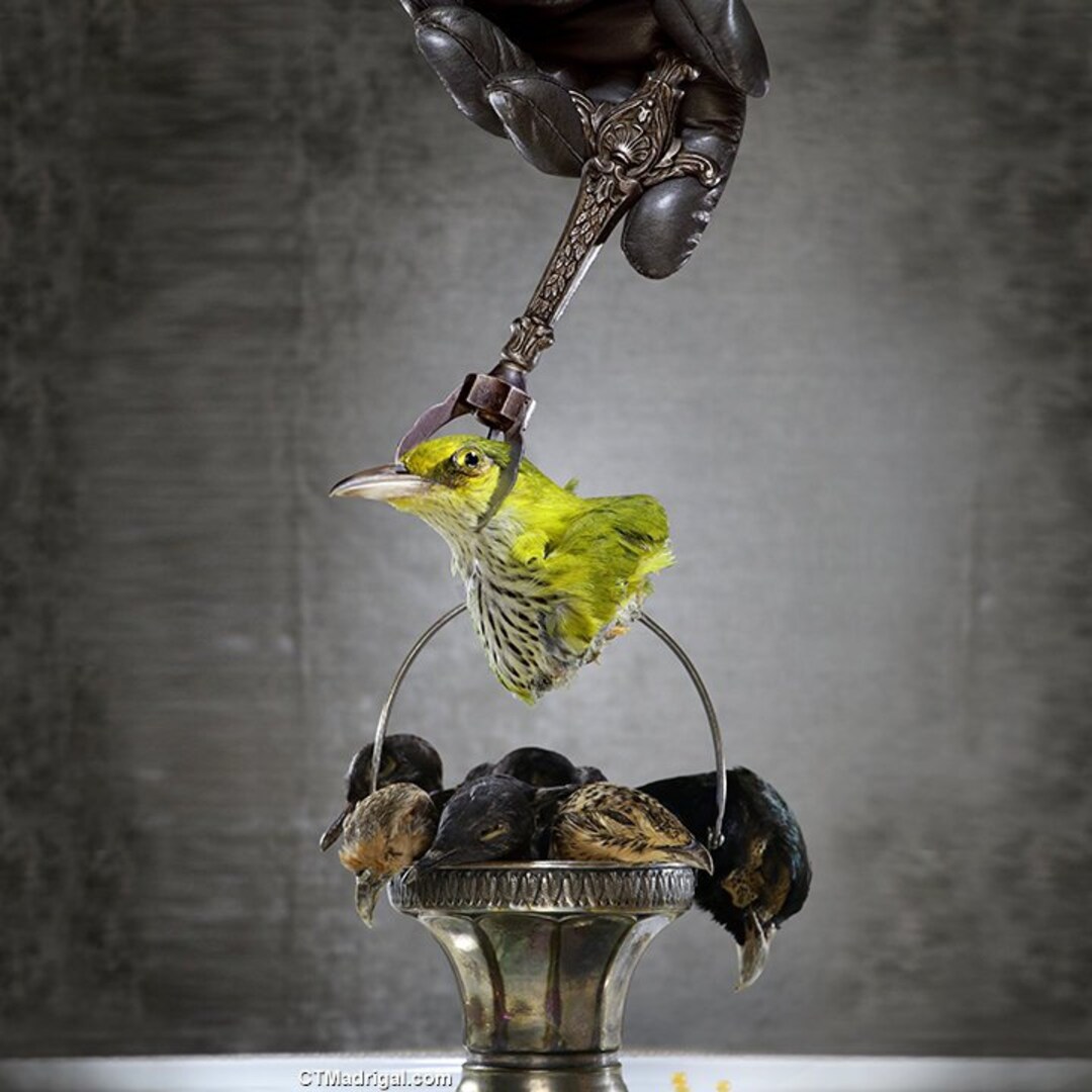 Bon-bons, Original Photograph, Surreal Big Print Not Painting ...