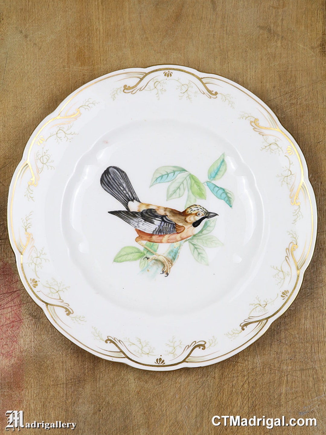 Antique Porcelain Bird Plate, Hand Painted Birds Flowers, Gilt Gilded ...