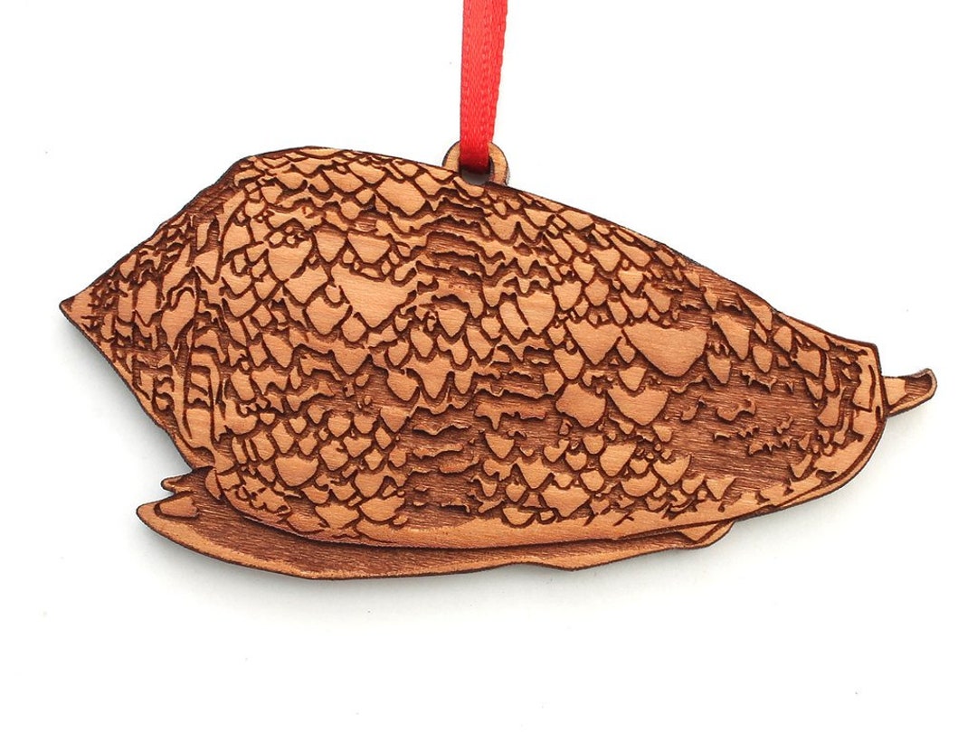 Textile Cone Snail Ornament - Beautifully Detailed Shell - Black Cherry ...