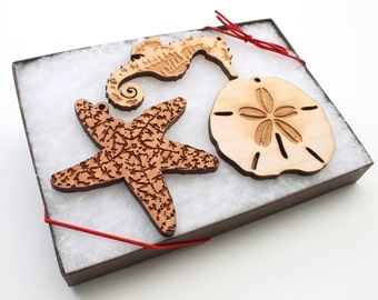 Sea Creatures Box - Etsy