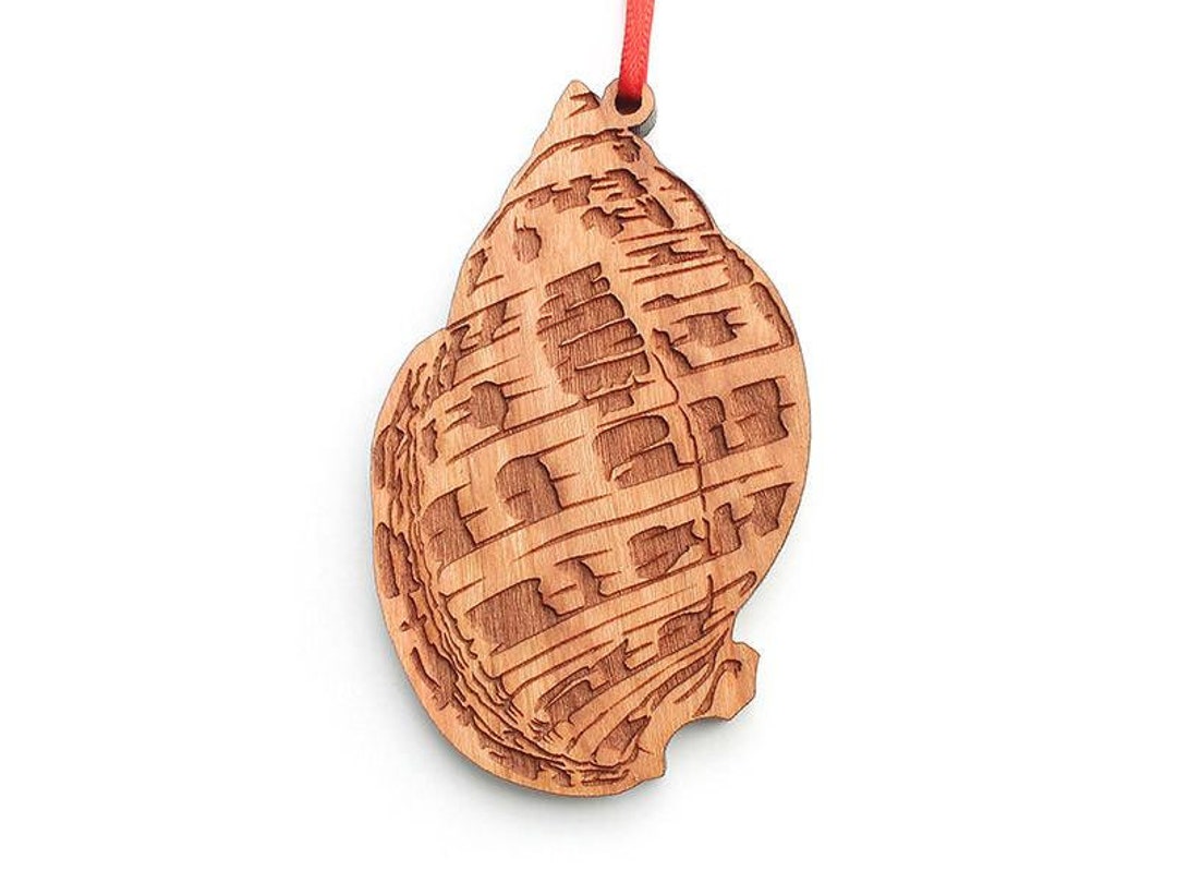 Scotch Bonnet Shell Ornament - Beautiful Spiraling Scotch Bonnet Shell ...
