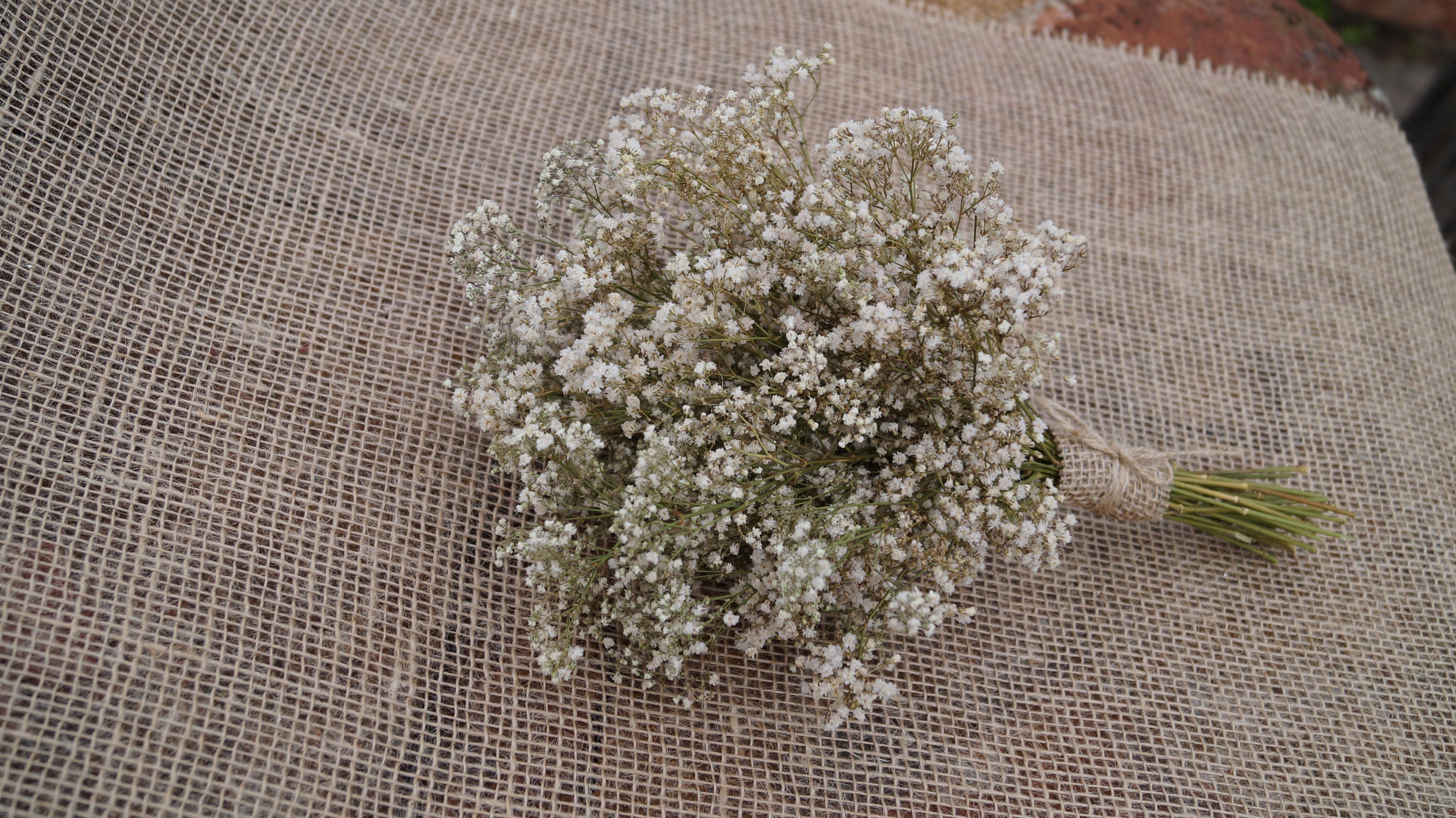 Dried White Gypsy Bouquet Bridal Bouquet Bouquet of Dried Natural Babys ...