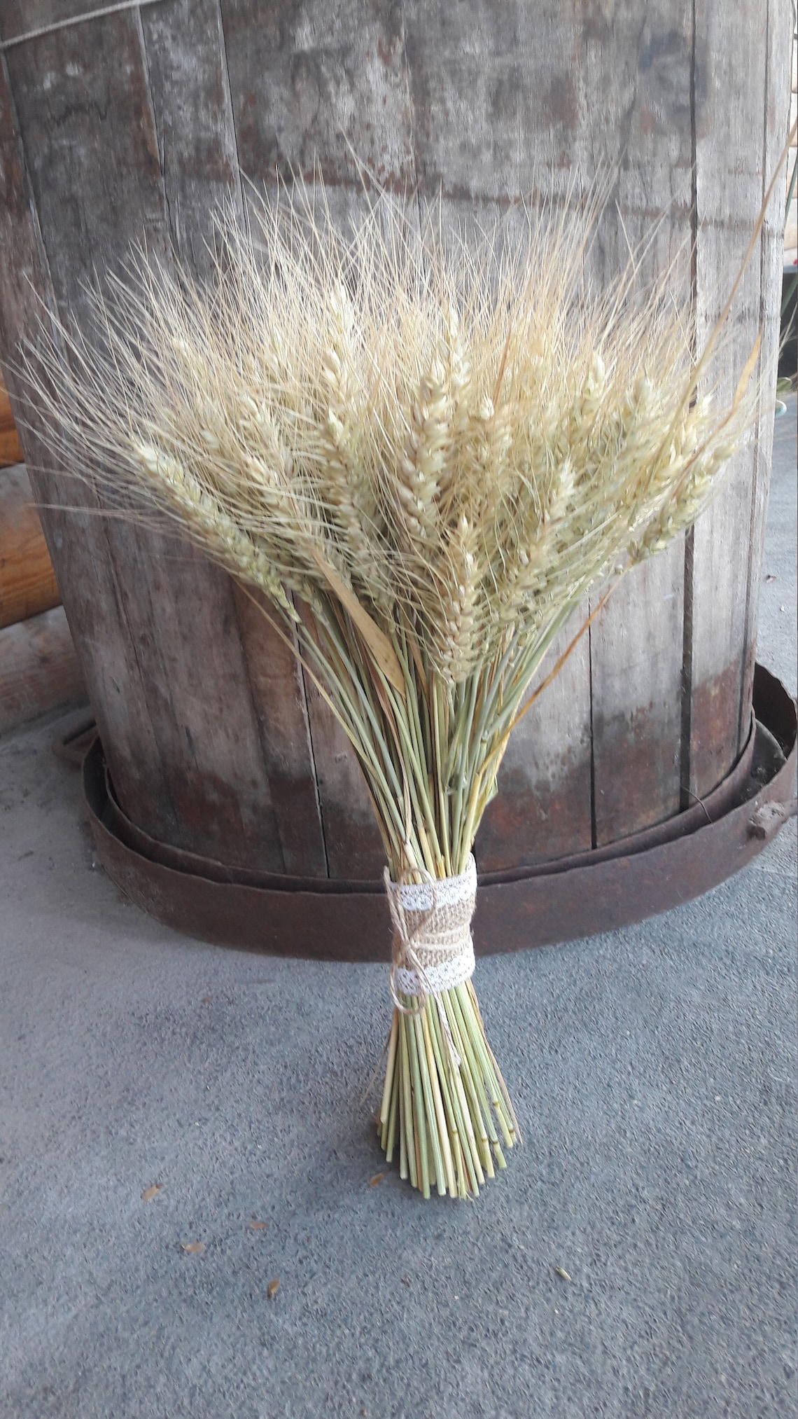 Natural Wheat Bouquet Dried Wheat Bundle Dried Wheat Bunch | Etsy