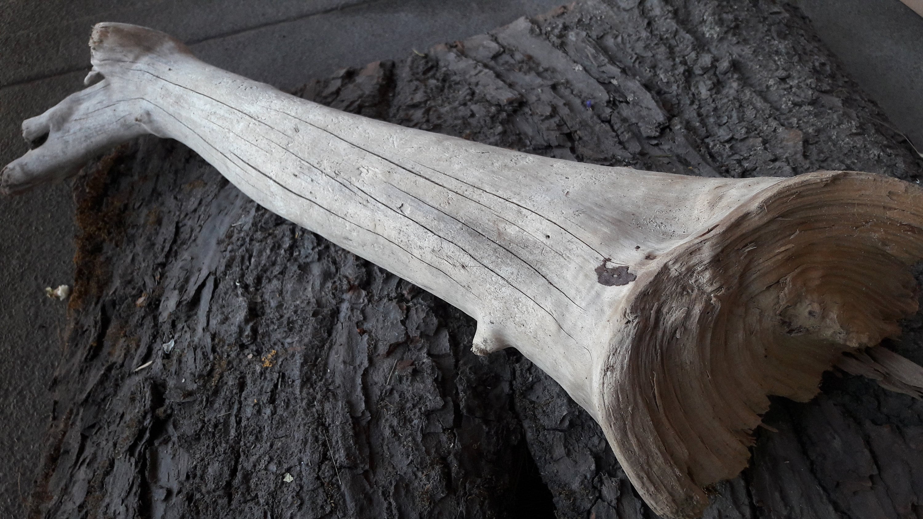 Large driftwood stick dried wood stick DIY project supplies | Etsy