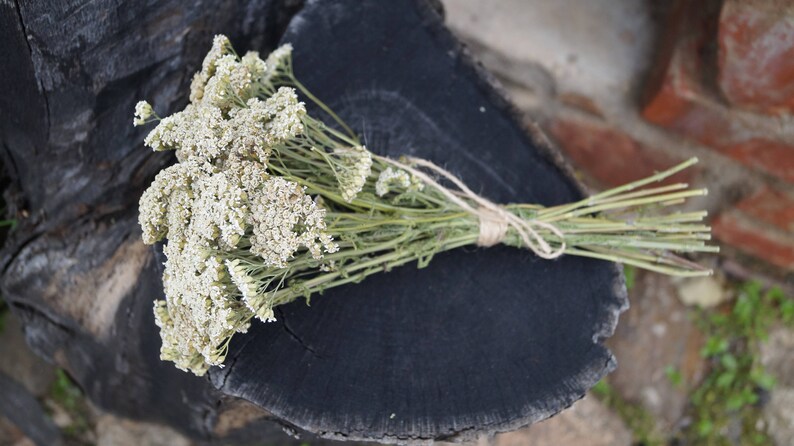Rustic Dried Flower Bouquet Dried Yarrow Bouquet Achillea - Etsy