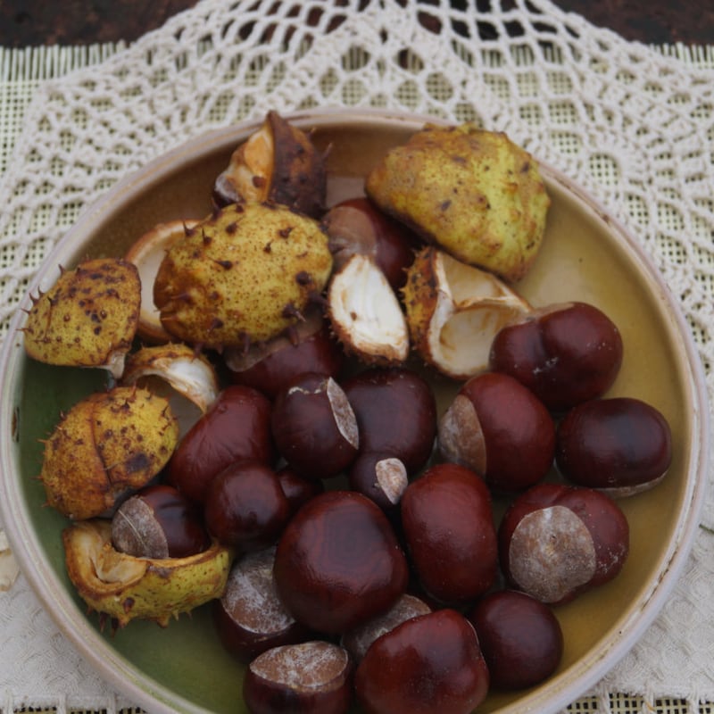 Chestnut Horse Decor - Etsy