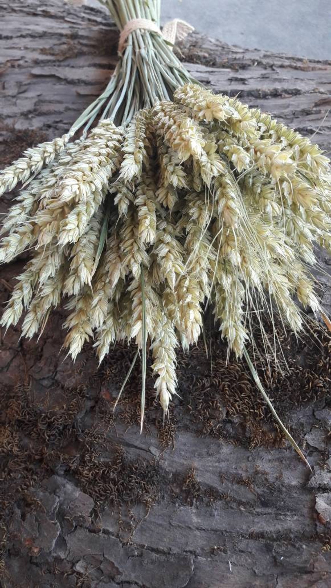 Dried wheat bouquet Dried grain bundle Wheat wedding bouquet | Etsy