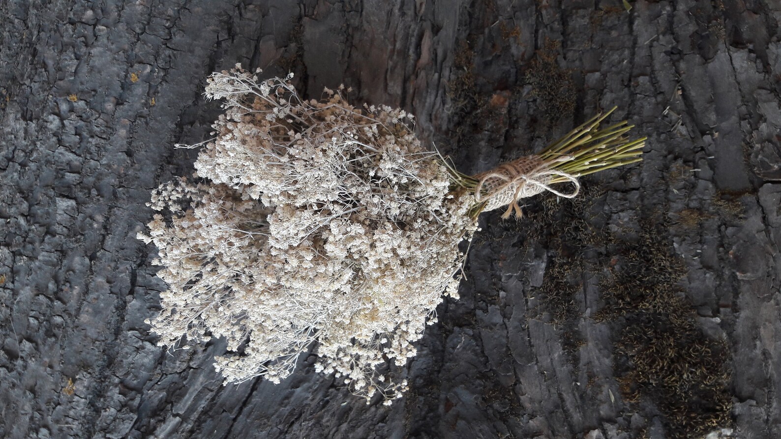 Dried White Gypsy Bouquet Painted Gypsophilia Bouquet Bridal Bouquet ...