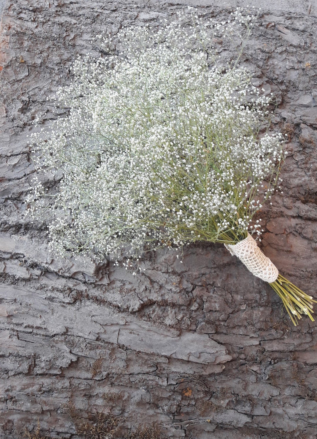 Dried White Gypsophilia Bouquet Bridal Bouquet Dried Natural Babys ...