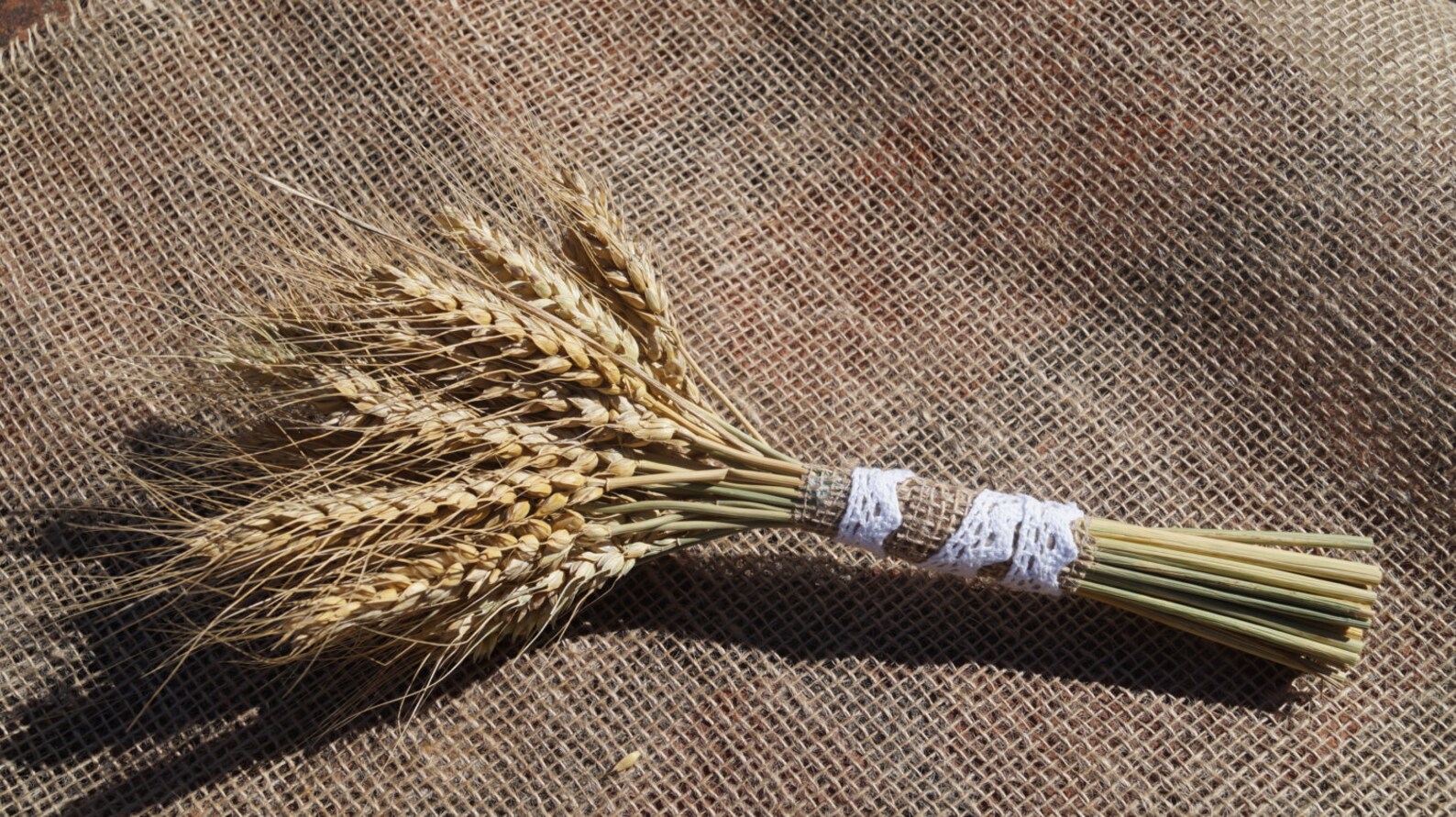 Small Dried Wheat Bouquet Dried Wheat Bunch Dried Flower | Etsy