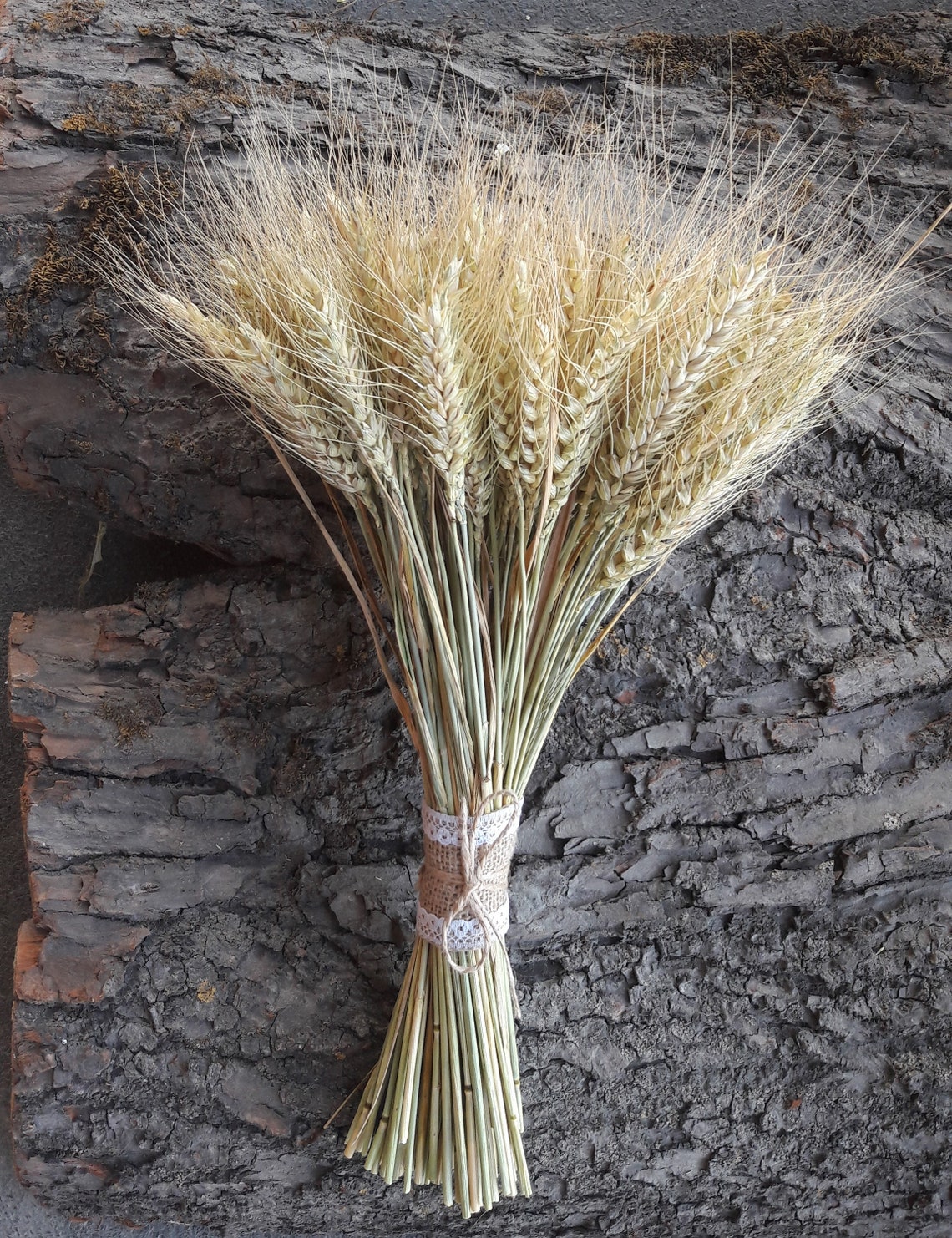 Natural Wheat Bouquet Dried Wheat Bundle Dried Wheat Bunch | Etsy