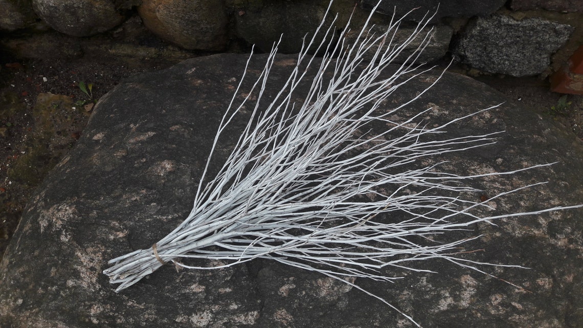 White Tree Branches Scandinavian Home Decor Woodland Decor - Etsy