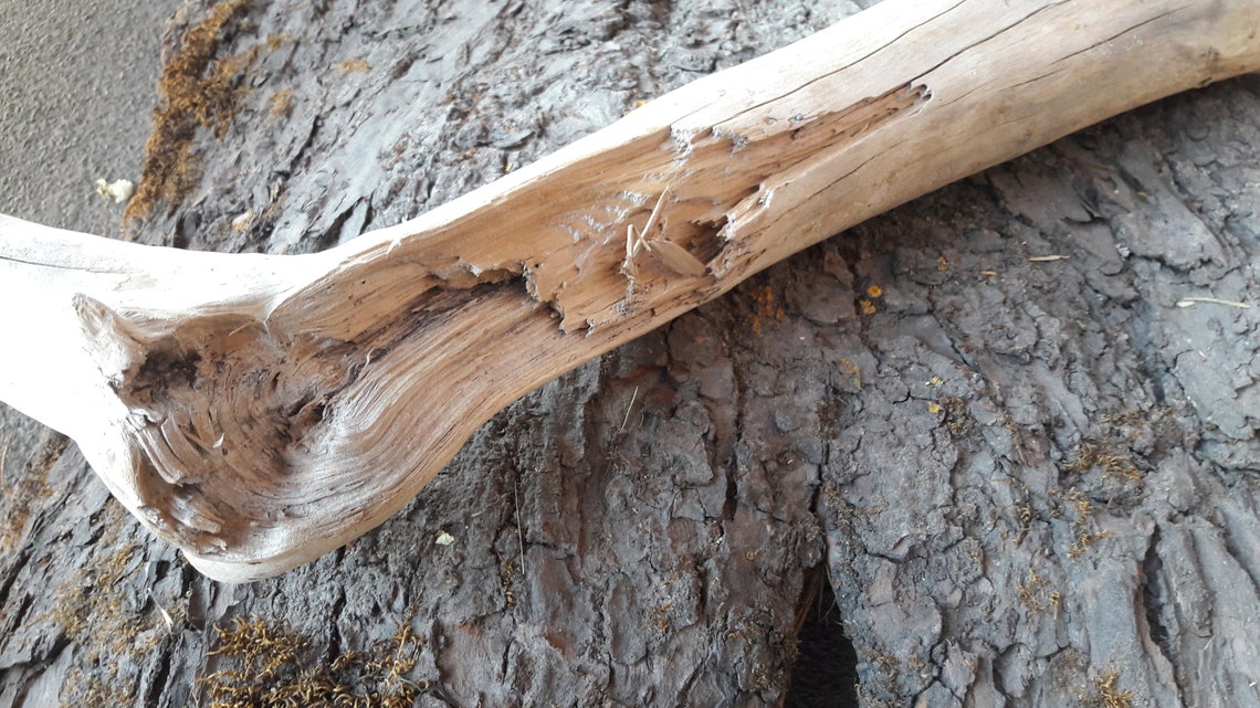 Large Driftwood Stick Dried Wood Stick DIY Project Supplies | Etsy