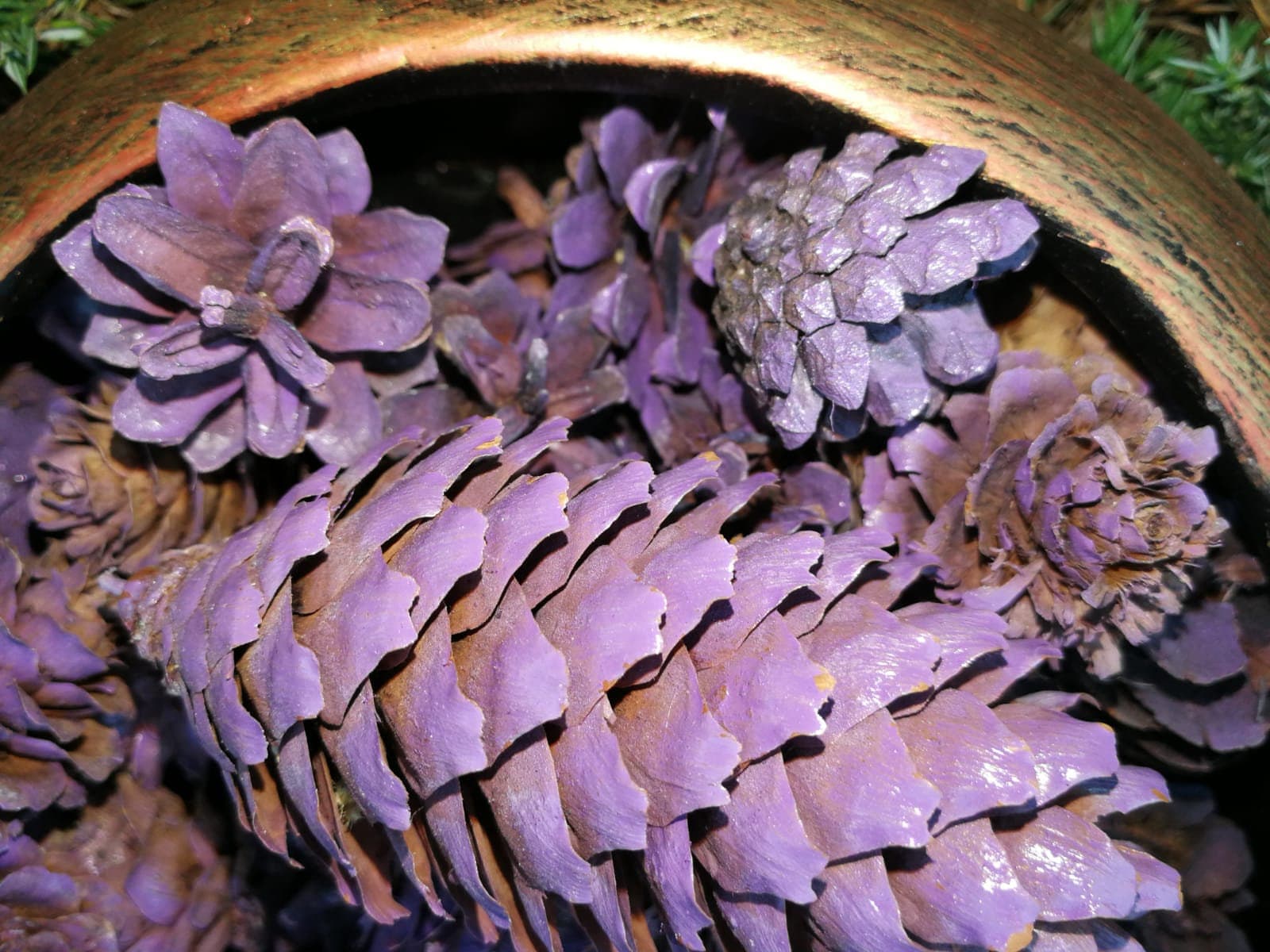 12 Purple Colored Cones Set Mixed Cones Set Purple Natural | Etsy