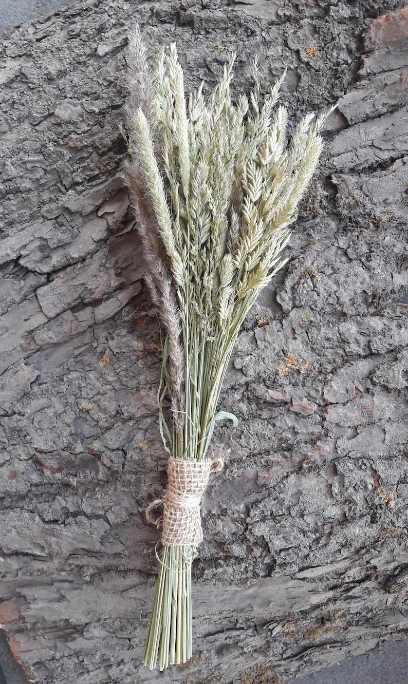 Small Dried Grass Bunch Dried Grass Bouquet Dried Wild Grass | Etsy