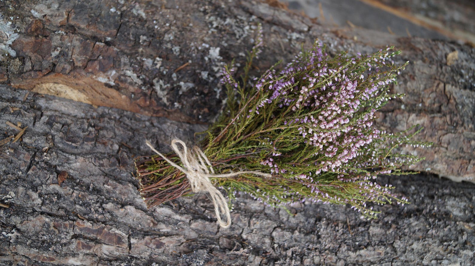 Dried Heather Bouquet Small Heather Bouquet Dried Flower | Etsy