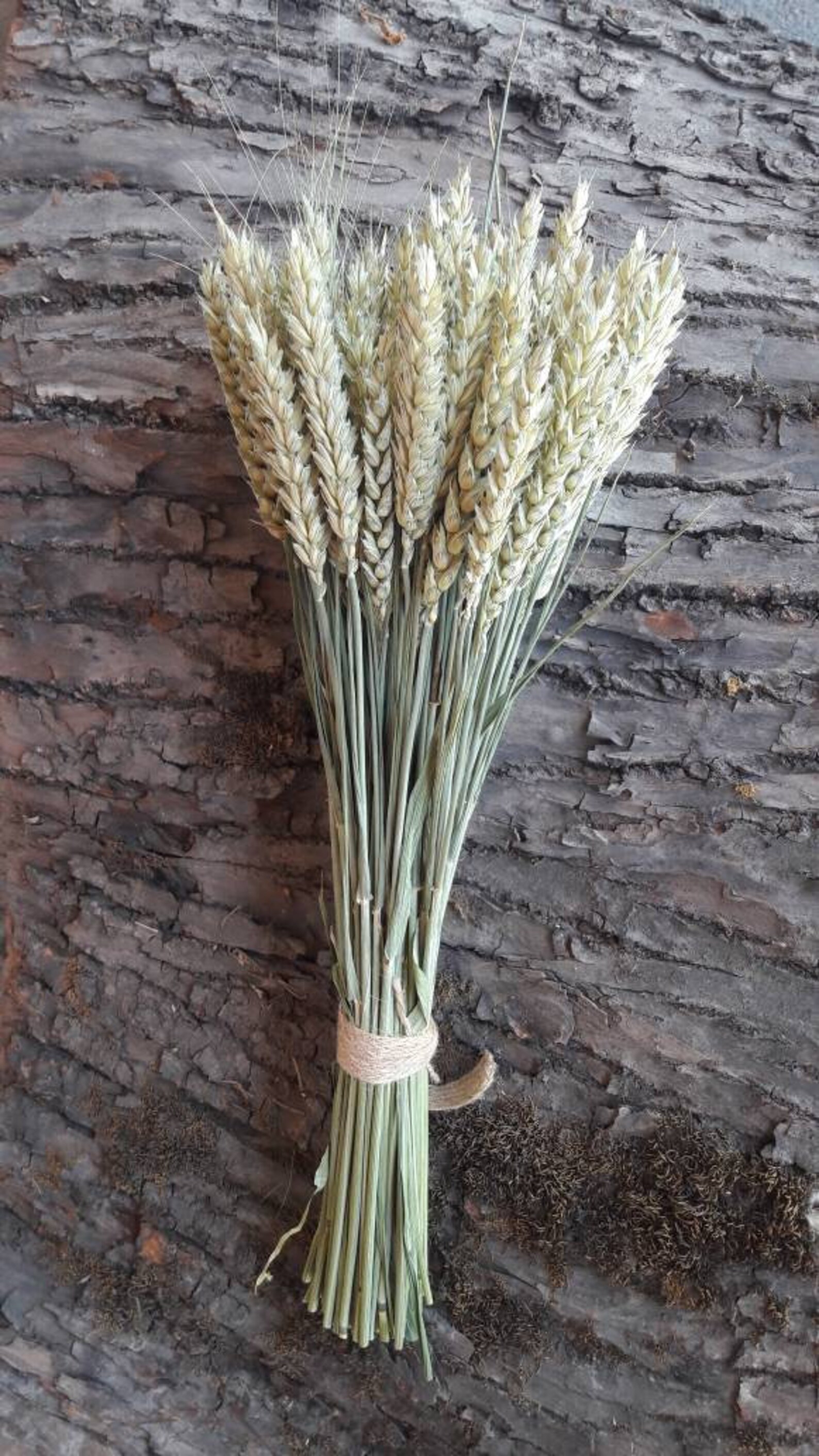 Dried Wheat Bouquet Dried Grain Bundle Wheat Wedding Bouquet - Etsy