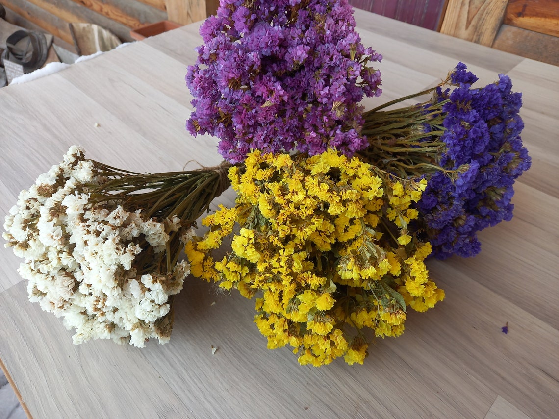 Dried Purple Blue Limonium Bouquet, Dried Statice Bunch, Dried Flower ...