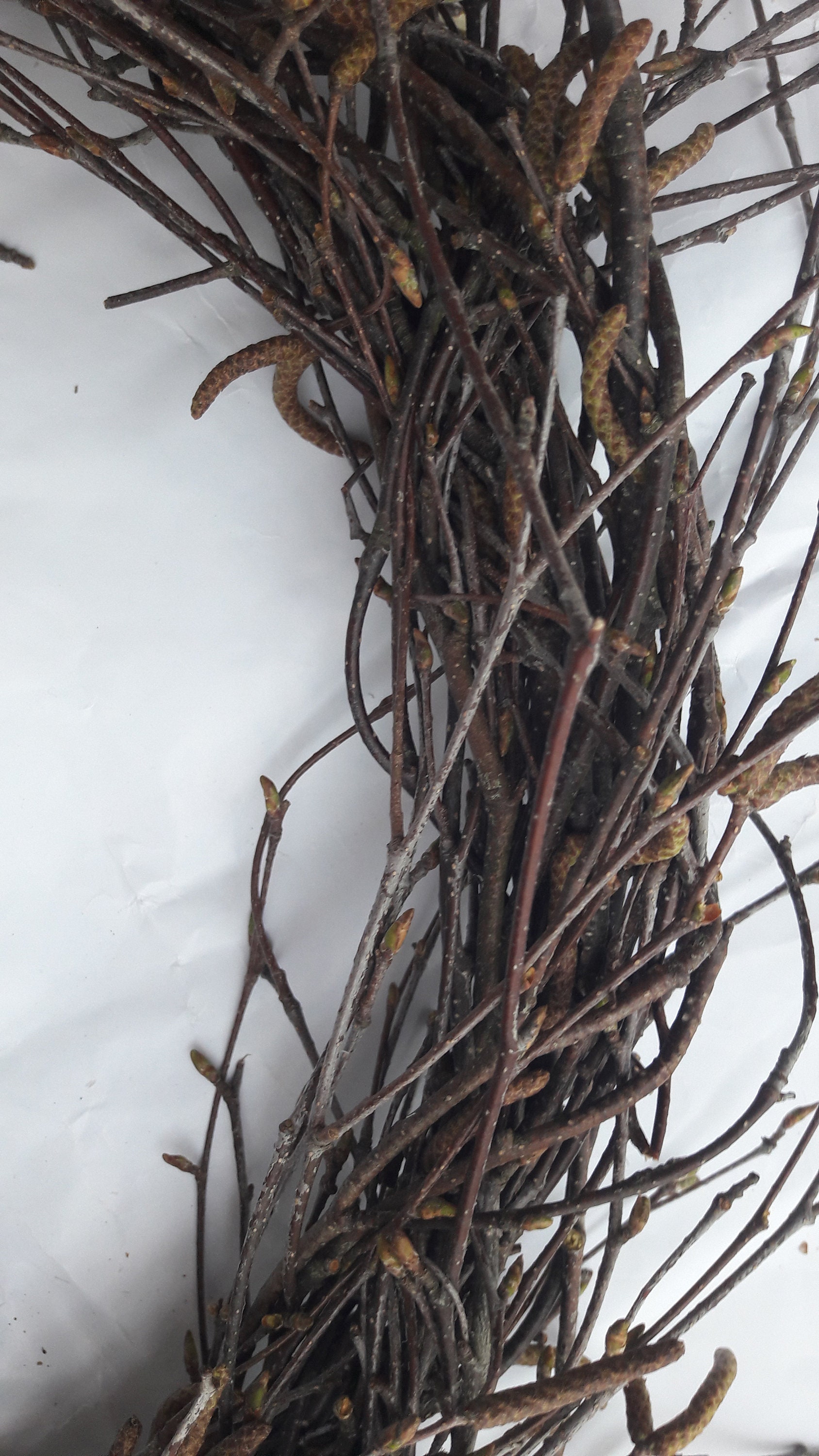 Birch Twig Wreath Spring Door Wreath Easter Wreath Twig - Etsy