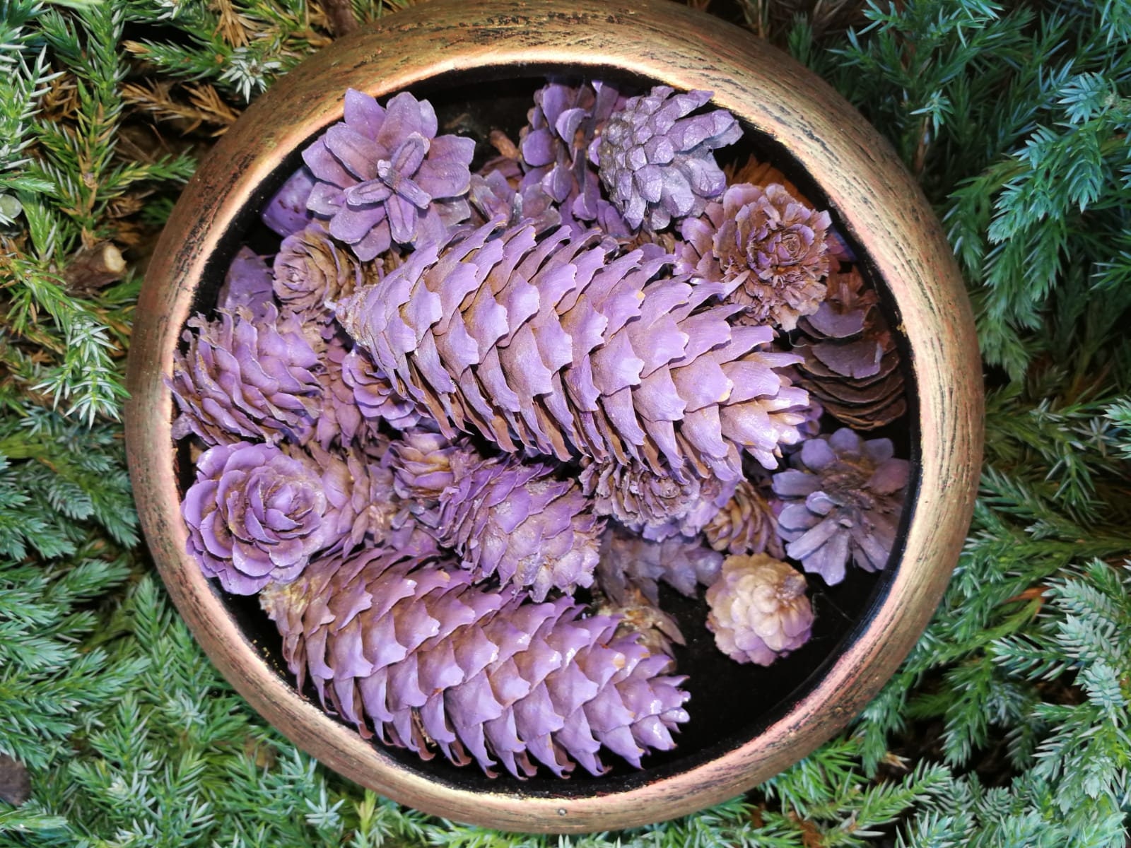 12 Purple Colored Cones Set Mixed Cones Set Purple Natural | Etsy