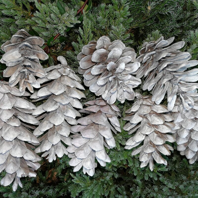 Wedding Cones - Etsy