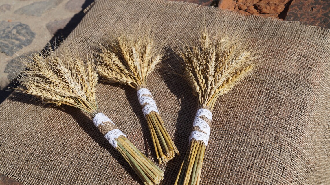 Small Dried Wheat Bouquet Dried Wheat Bunch Dried Flower | Etsy