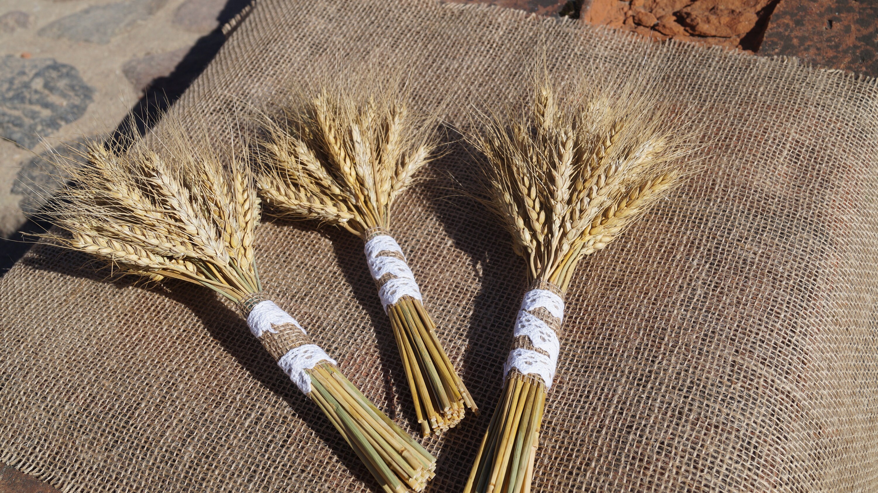 Small Dried Wheat Bouquet Dried Wheat Bunch Dried Flower - Etsy