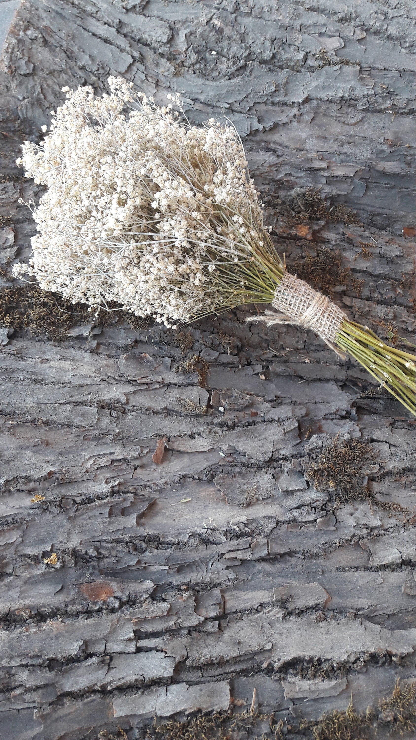 Dried White Gypsy Bouquet Painted Gypsophilia Bouquet Bridal Bouquet ...