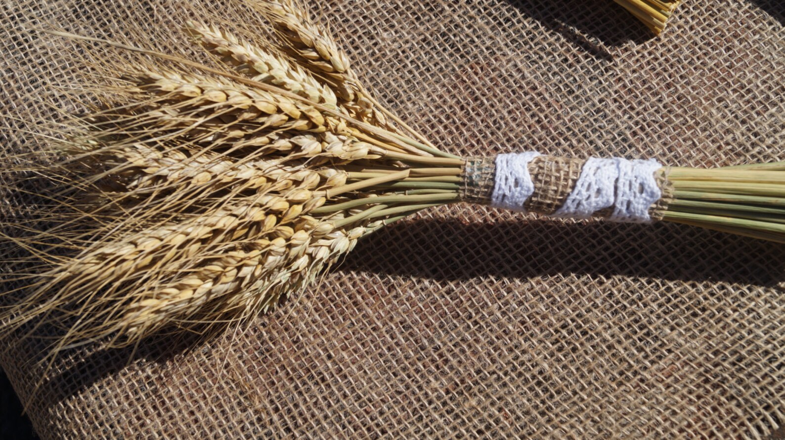 Small Dried Wheat Bouquet Dried Wheat Bunch Dried Flower - Etsy
