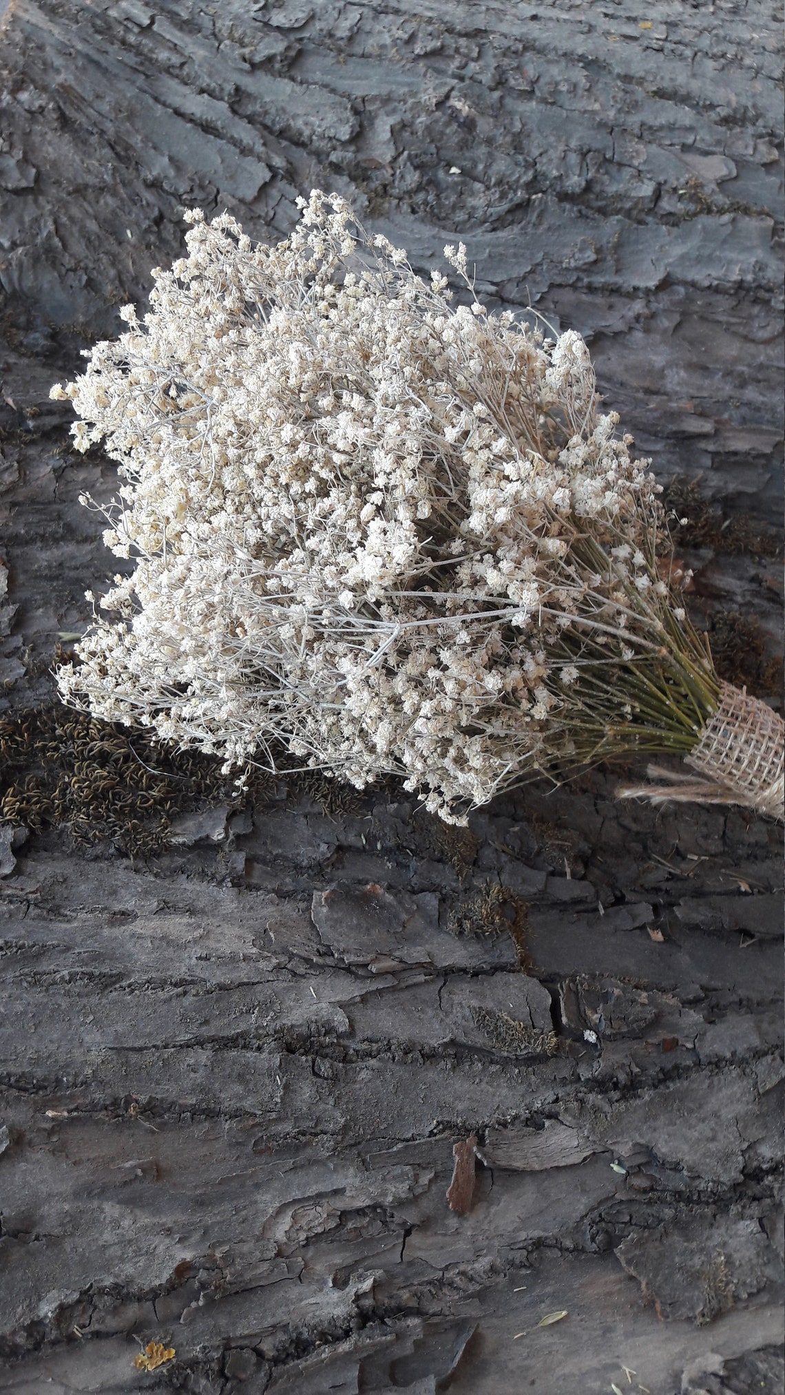 Dried White Gypsy Bouquet Painted Gypsophilia Bouquet Bridal Bouquet ...