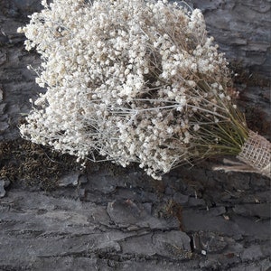 Dried White Gypsy Bouquet Painted Gypsophilia Bouquet Bridal Bouquet ...