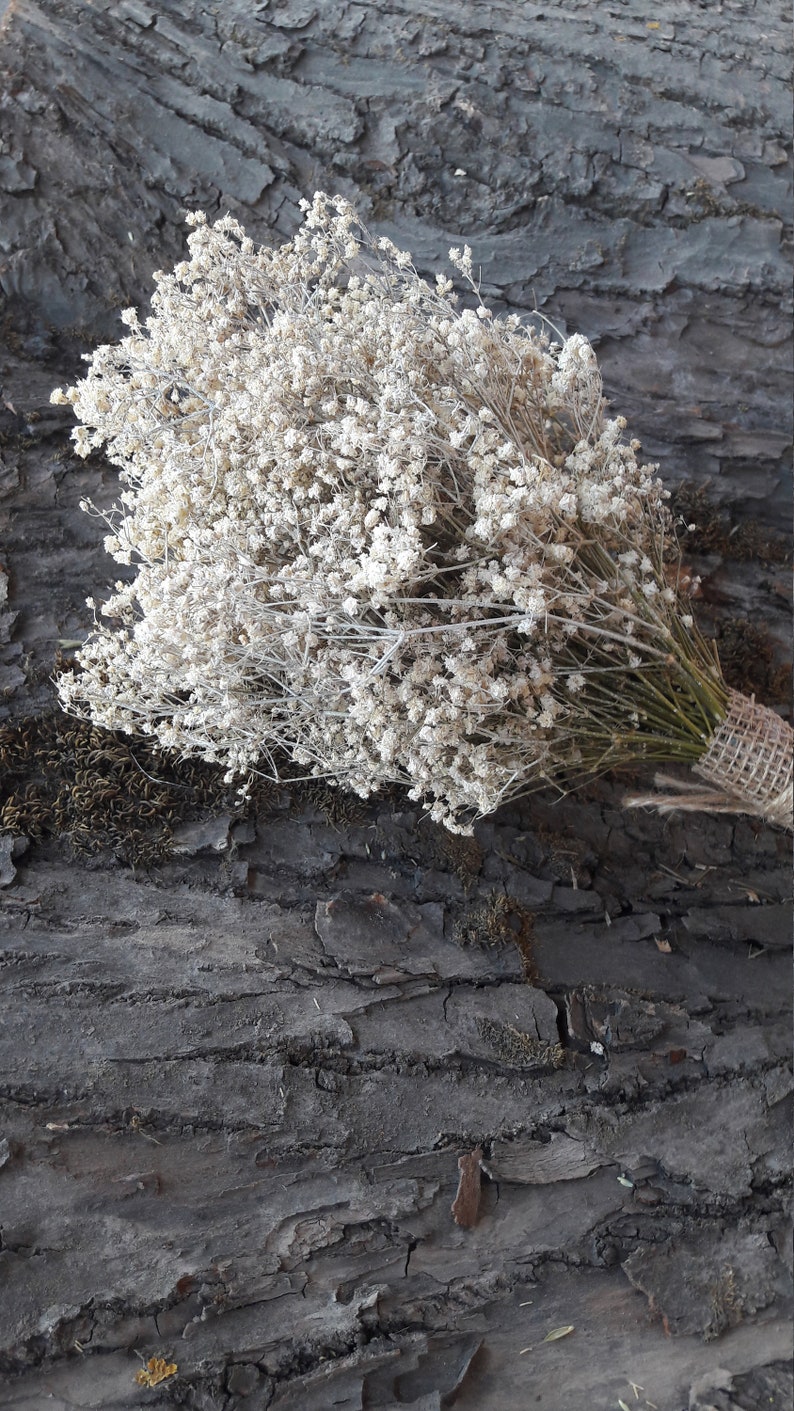 Dried White Gypsy Bouquet Painted Gypsophilia Bouquet Bridal Bouquet ...