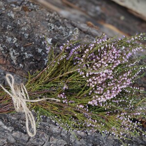 Dried Heather Bouquet Small Heather Bouquet Dried Flower Bouquet ...
