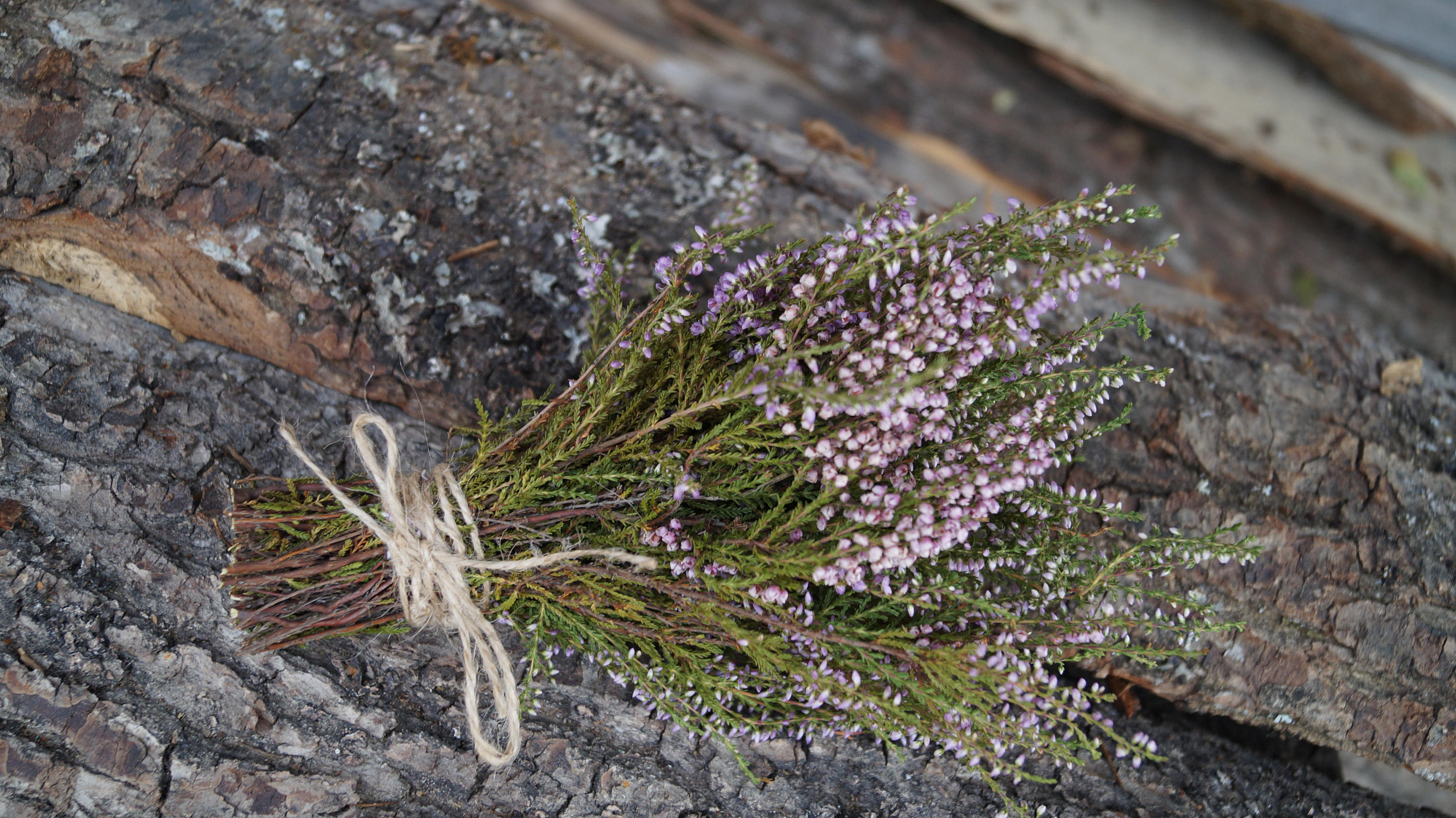 Dried Heather Bouquet Small Heather Bouquet Dried Flower - Etsy UK